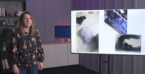 ELEARNING.VET - Continuous Learning For Veterinary Professionals